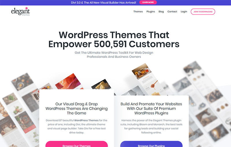 Elegant Themes Review - Top Hosting Reviews